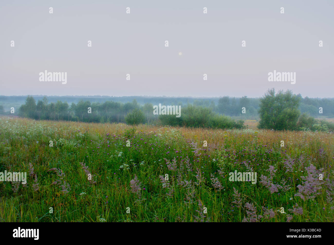 Summer dawn in the countryside Stock Photo - Alamy