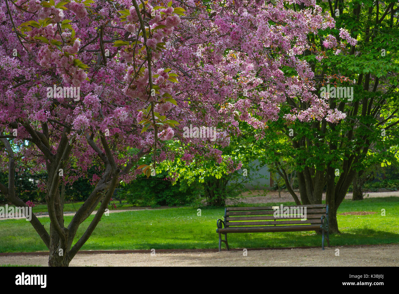 Cook park hi-res stock photography and images - Alamy