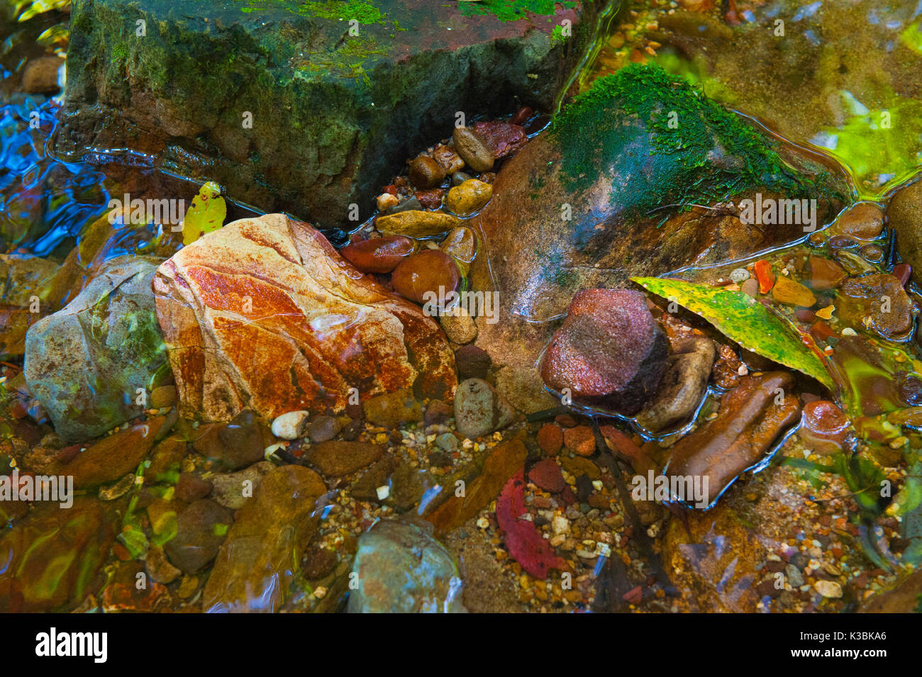 clear water New Zealand stream Stock Photo - Alamy