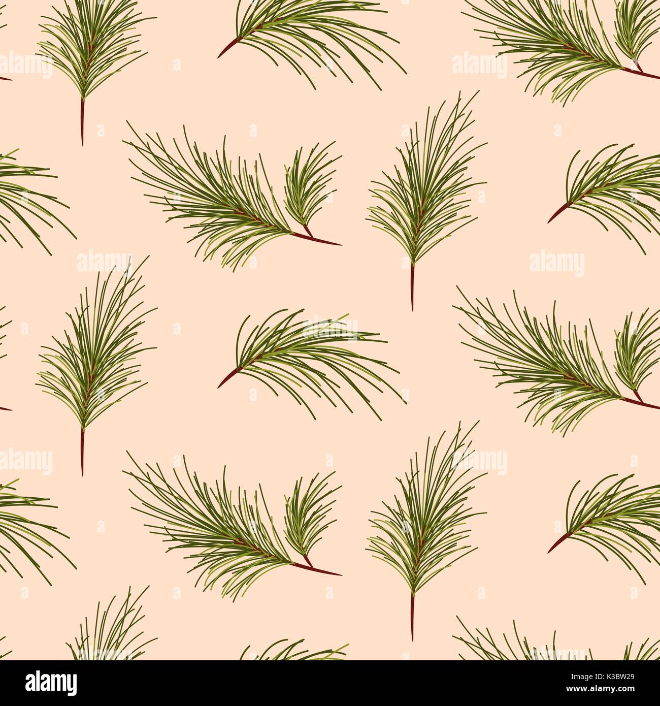 Branches cedar on background Stock Vector Images - Alamy