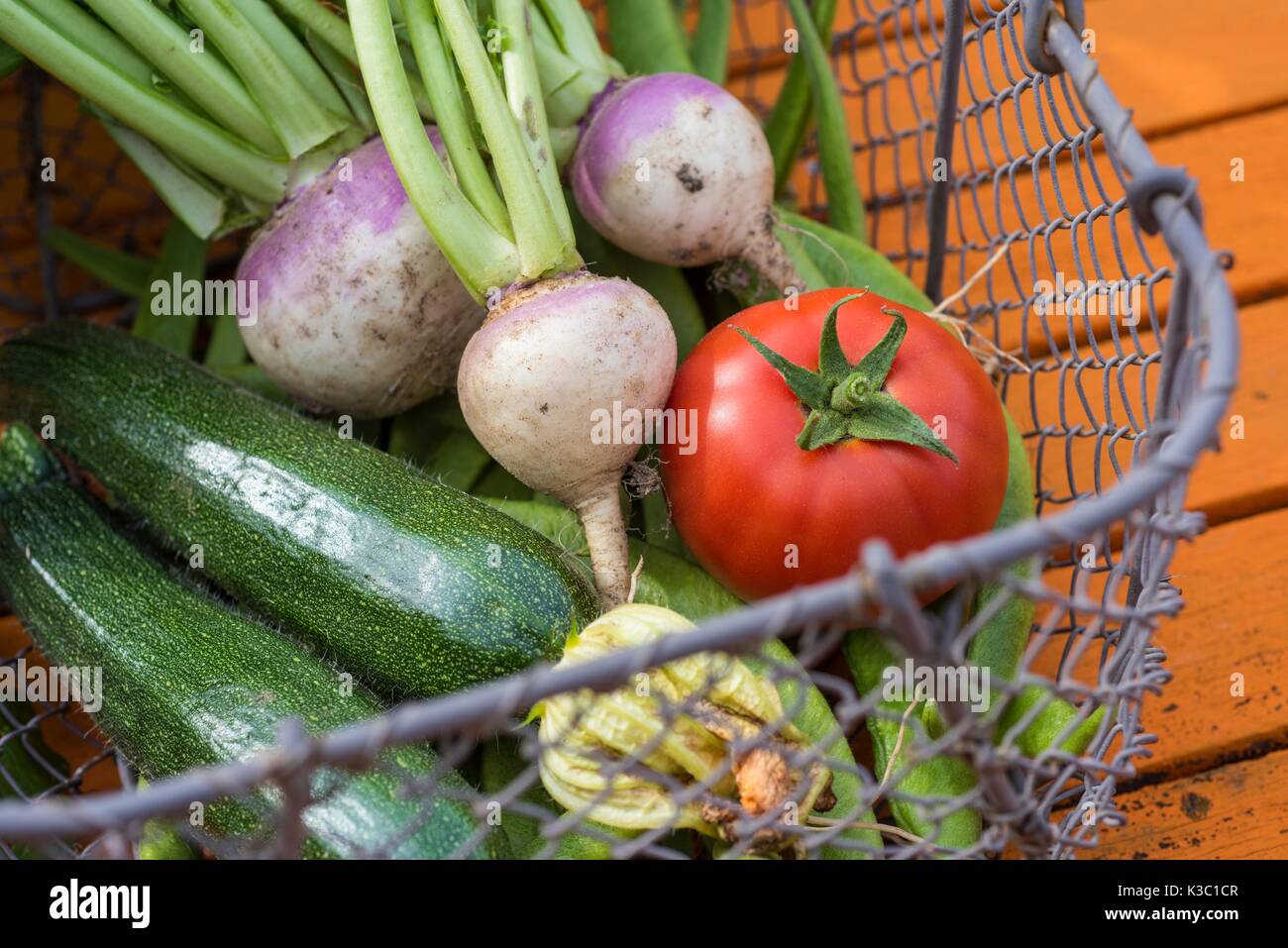 Wire trug with turnips, tomatoes, courgettes, and runner beans Stock ...