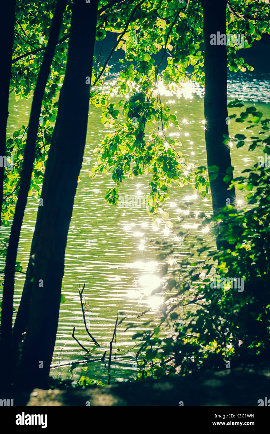 Beautiful green lake, surrounded with trees, bright sunshine sparkling ...