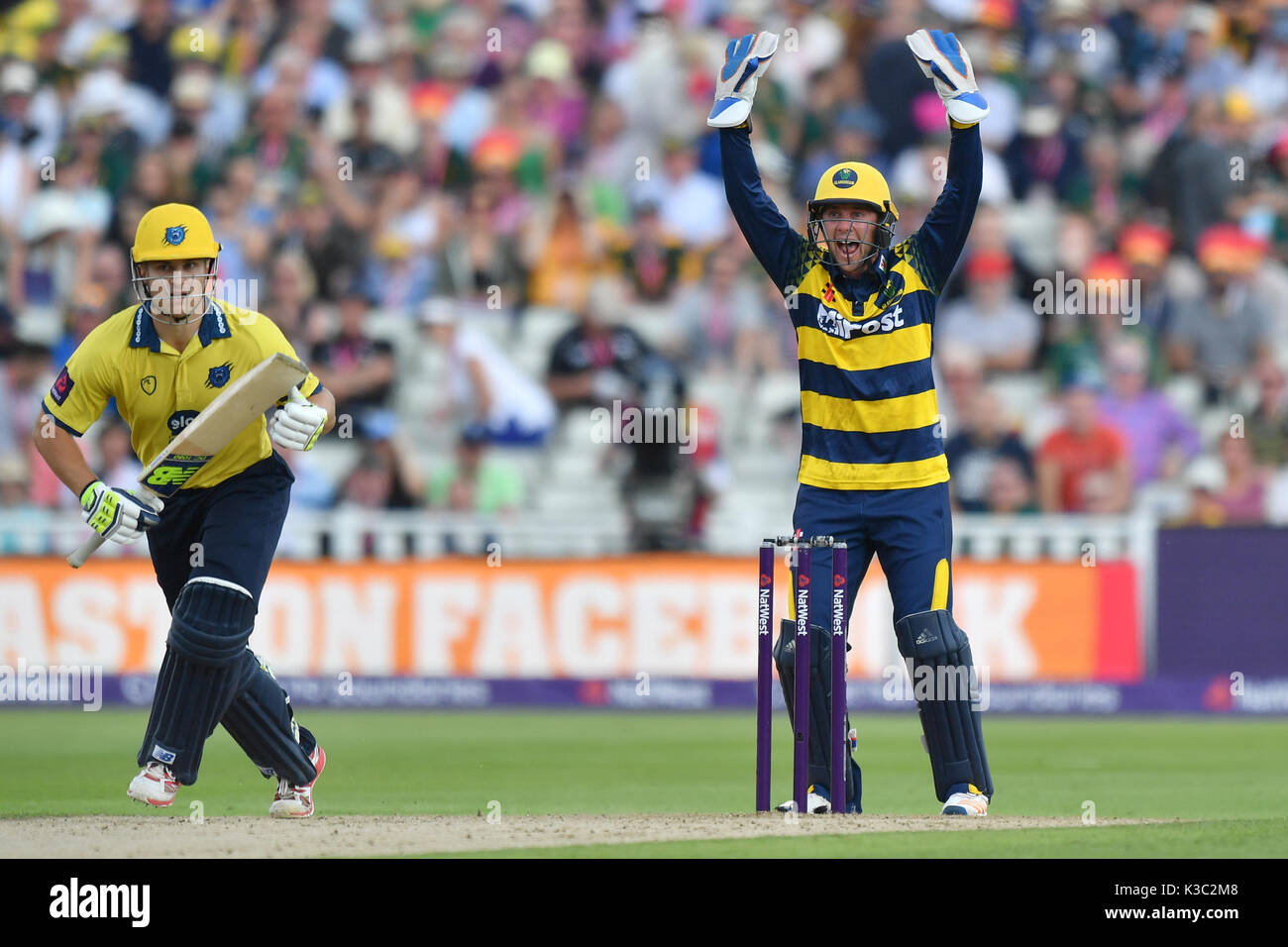 Glamorgan's Chris Cooke successfully appeals for the wicket of ...