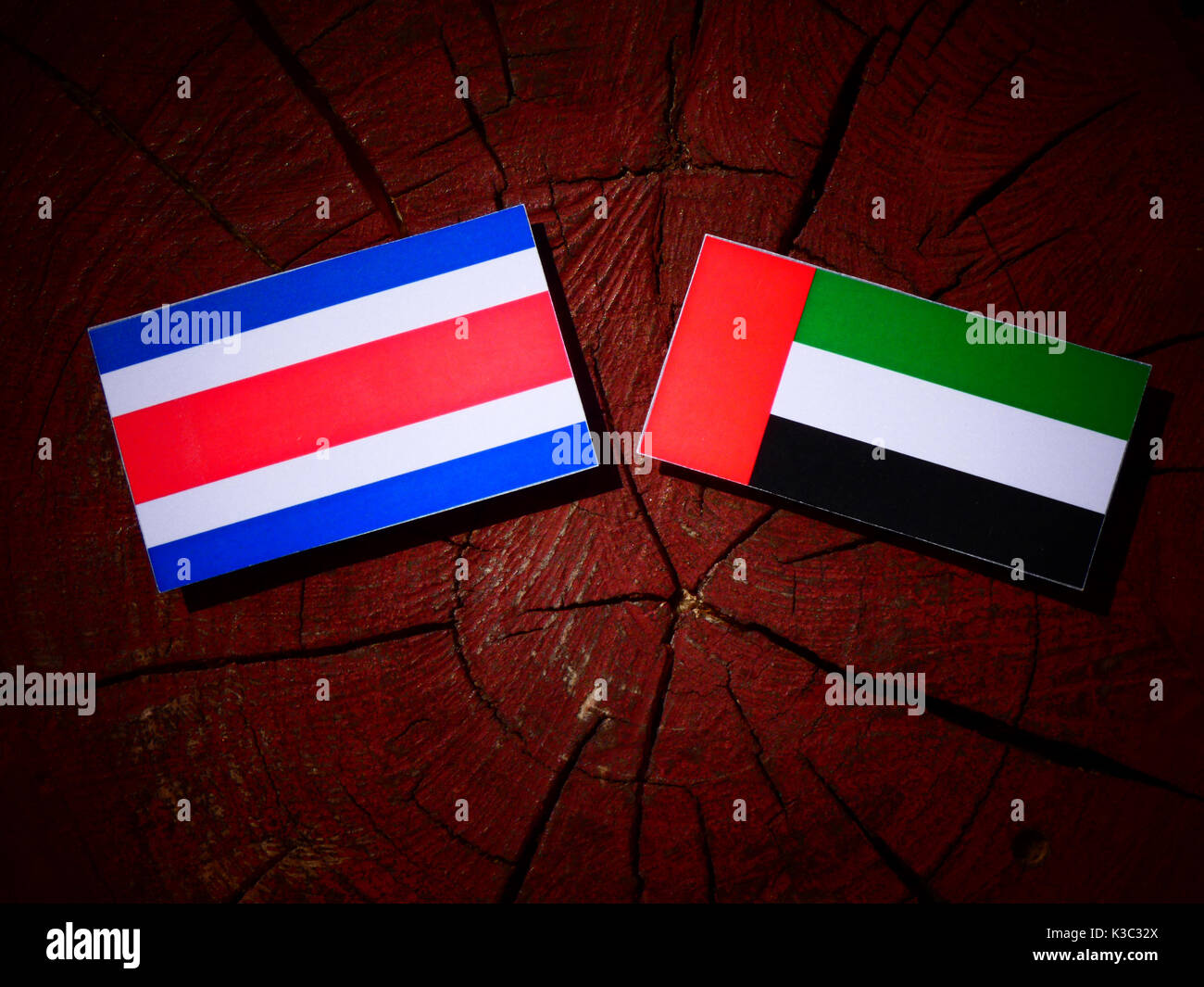 Costa Rican flag with United Arab Emirates flag on a tree stump ...