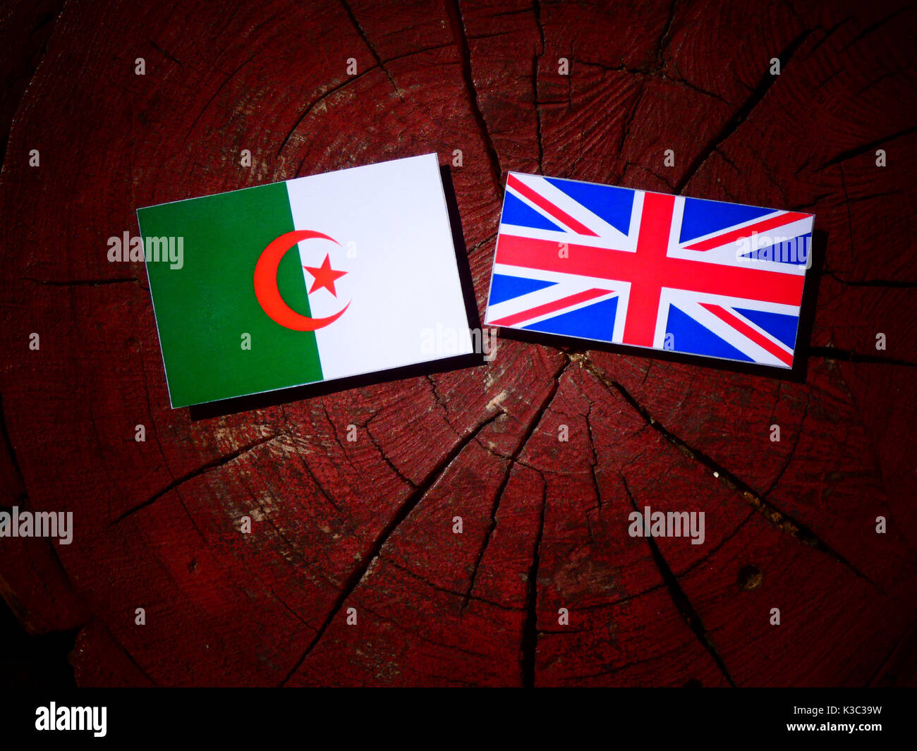 Algerian flag with British flag on a tree stump isolated Stock Photo ...