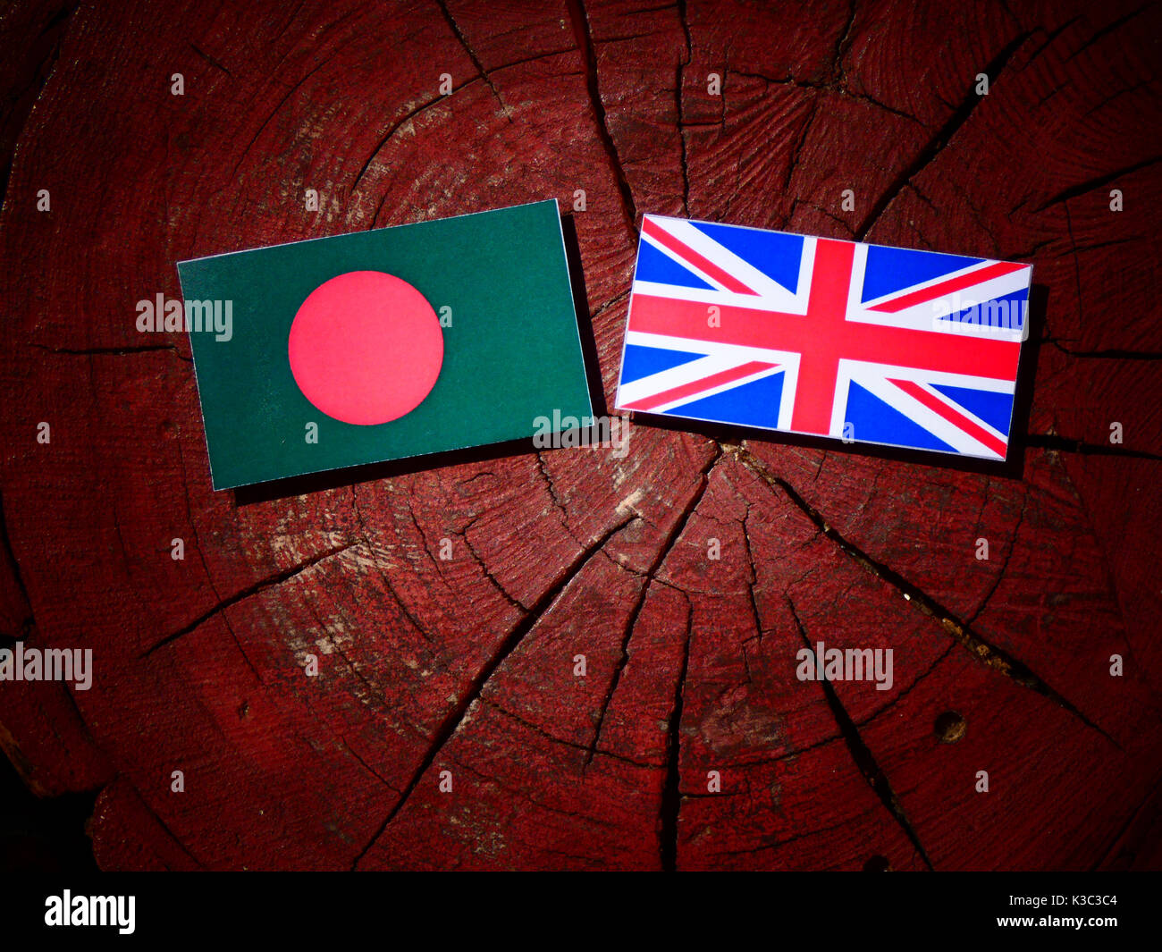 Bangladesh flag with British flag on a tree stump isolated Stock Photo ...