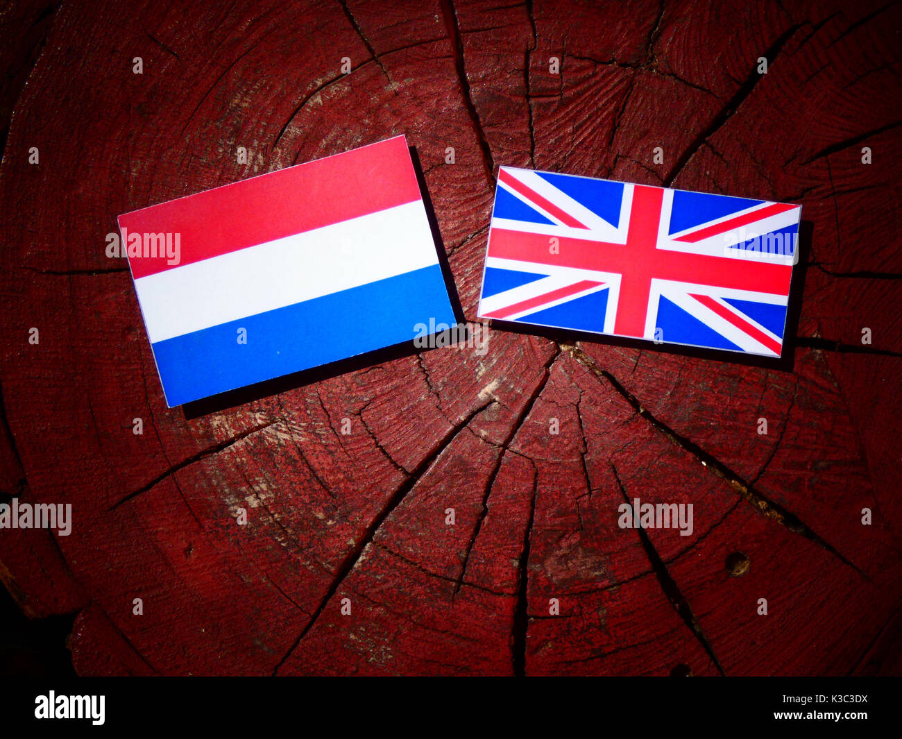 Dutch flag with British flag on a tree stump isolated Stock Photo - Alamy