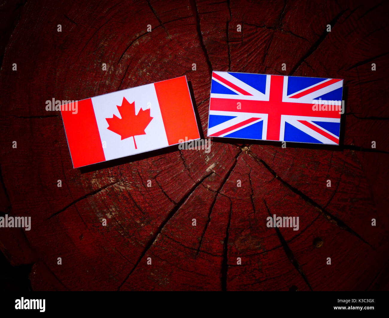 Canadian flag with British flag on a tree stump isolated Stock Photo ...