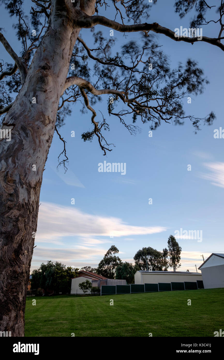 Afternoon in Warwick, Queensland Stock Photo - Alamy