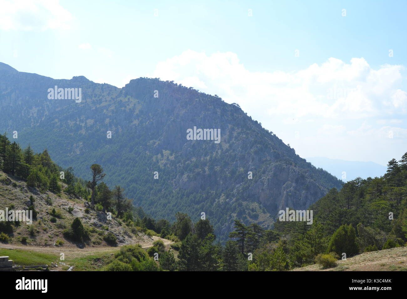 Trees and Mountain, Sky, Tree, Cloud Stock Photo - Alamy