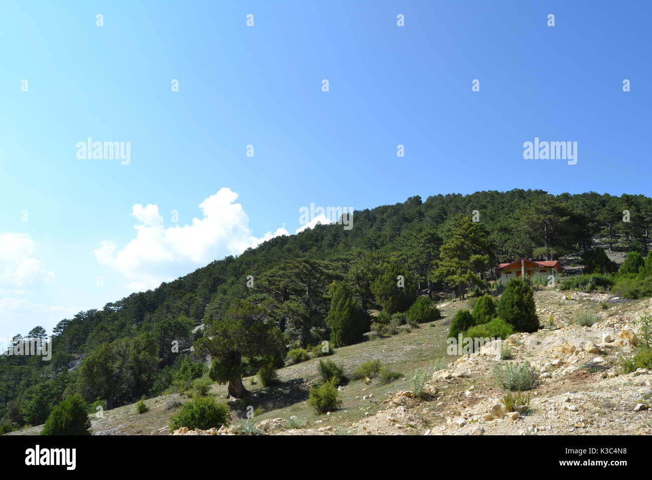 Trees and Mountain, Sky, Tree, Cloud Stock Photo - Alamy