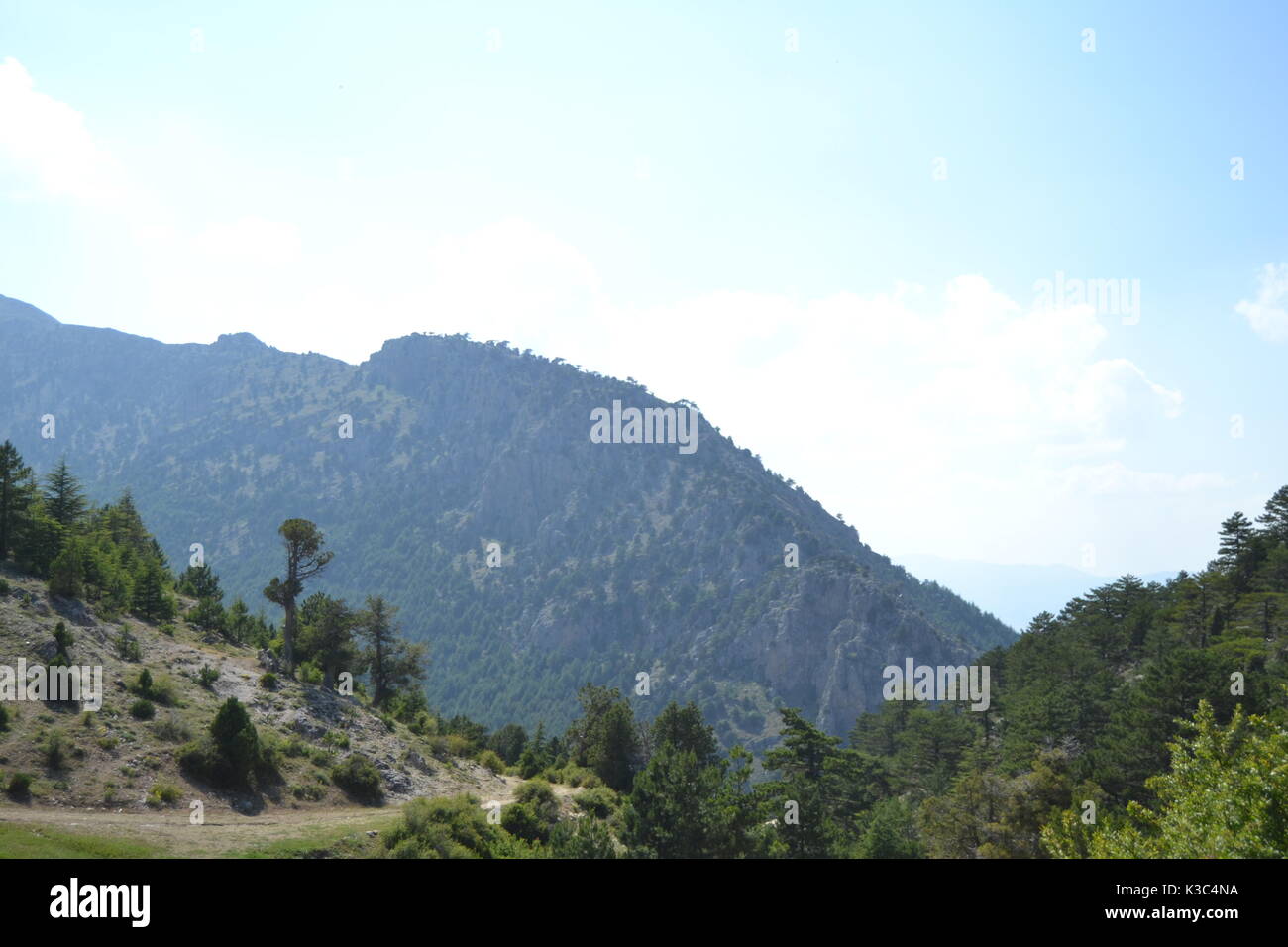 Trees and Mountain, Sky, Tree, Cloud Stock Photo - Alamy