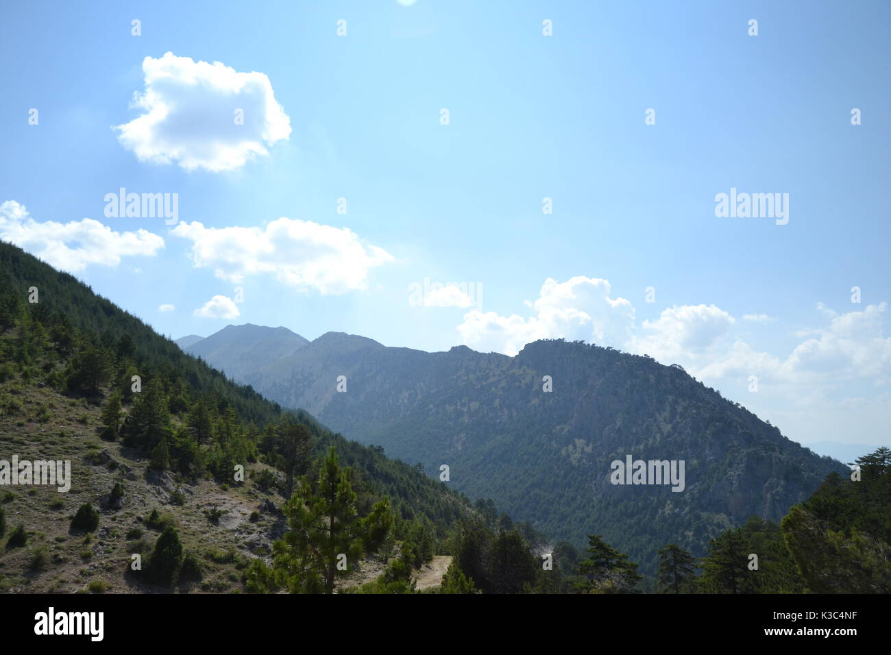 Trees and Mountain, Sky, Tree, Cloud Stock Photo - Alamy