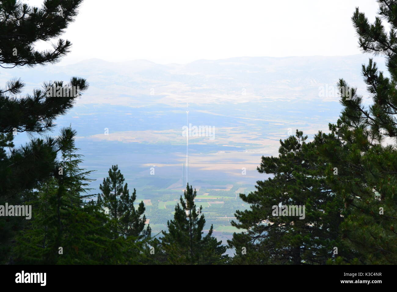 Trees and Mountain, Sky, Tree, Cloud Stock Photo - Alamy
