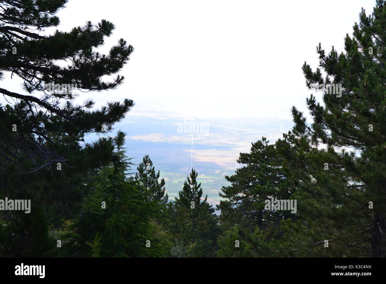 Trees and Mountain, Sky, Tree, Cloud Stock Photo - Alamy