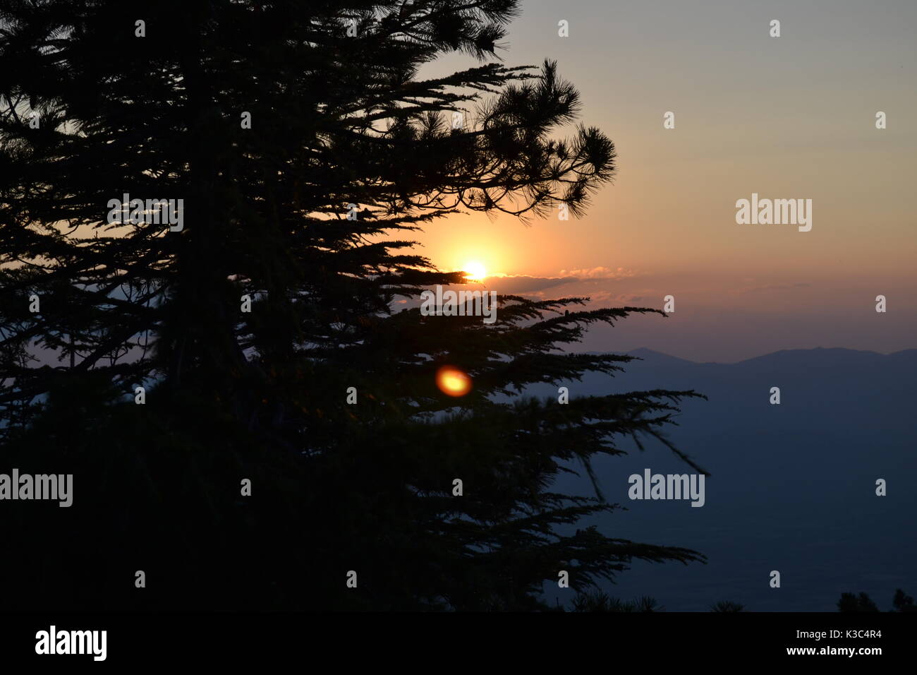 Sun goes down. Sunsets, Trees and sun,Sundown Stock Photo - Alamy