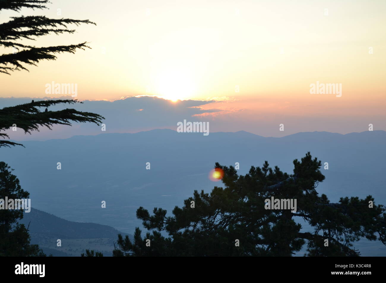 Sun goes down. Sunsets, Trees and sun,Sundown Stock Photo - Alamy