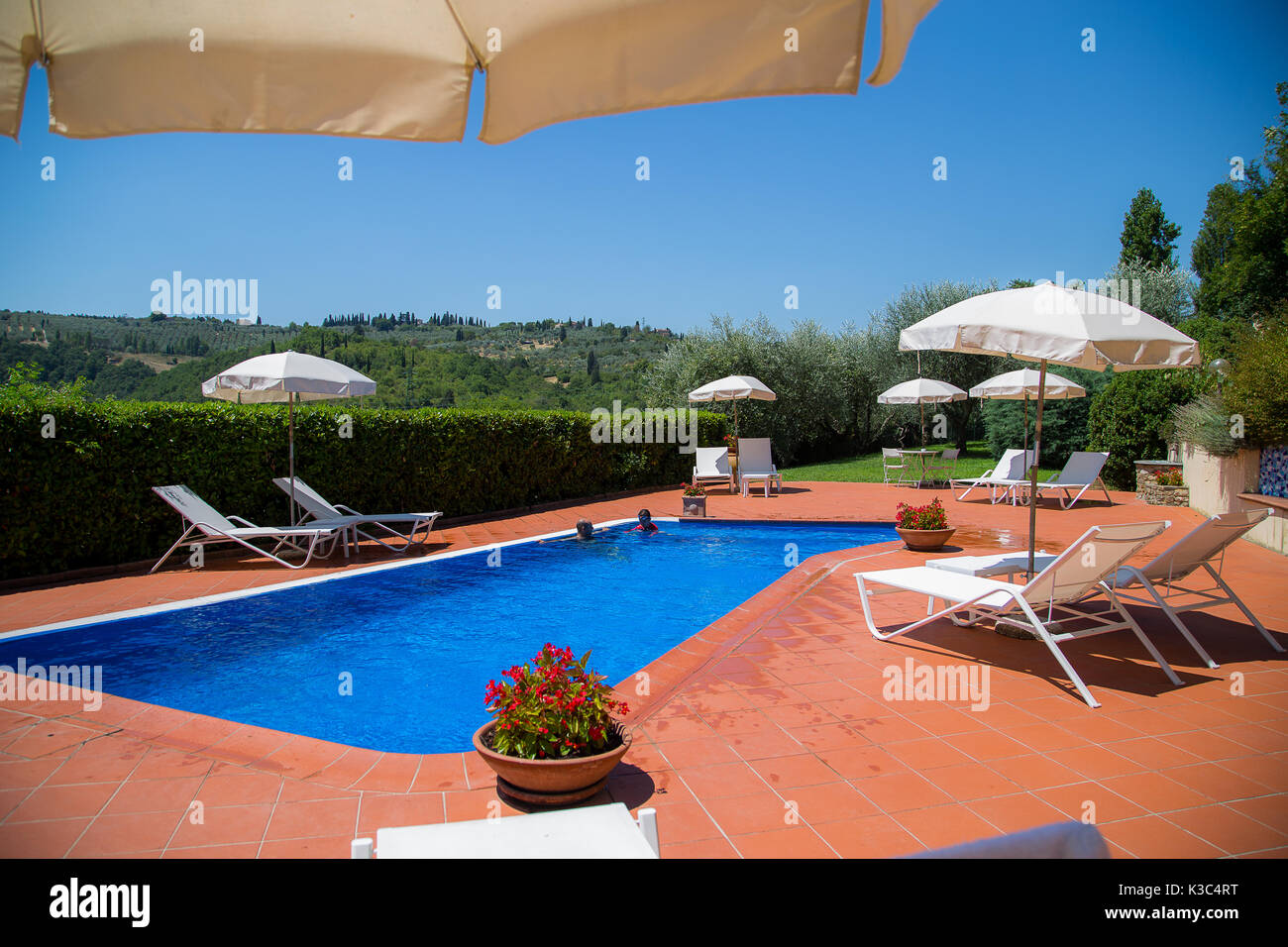 Swimming pool with loungers and canopy showing a mood of holiday ...