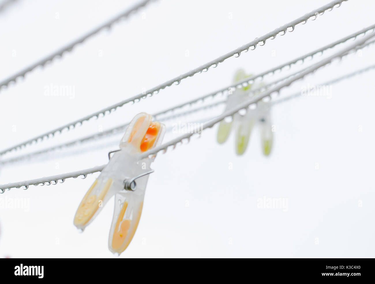 Washing line with raindrops and clips in white Stock Photo - Alamy