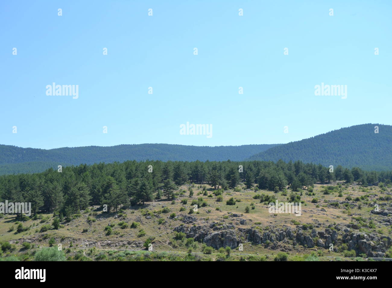 Trees and Mountain, Sky, Tree, Cloud Stock Photo - Alamy