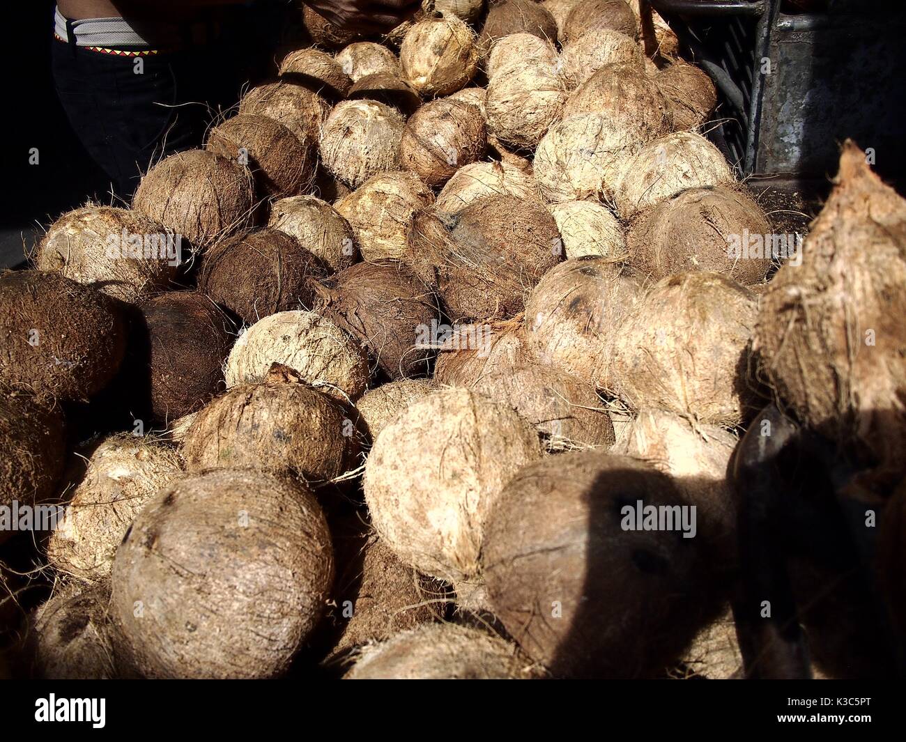 Photo of a bunch of coconuts on sale at a market Stock Photo - Alamy