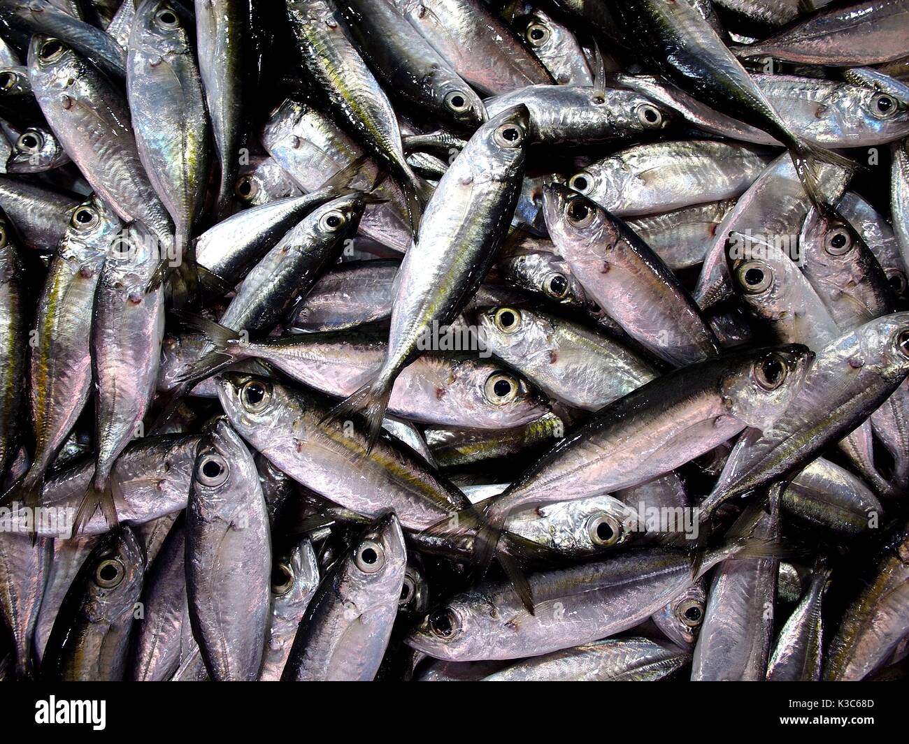 Salay salay hi-res stock photography and images - Alamy