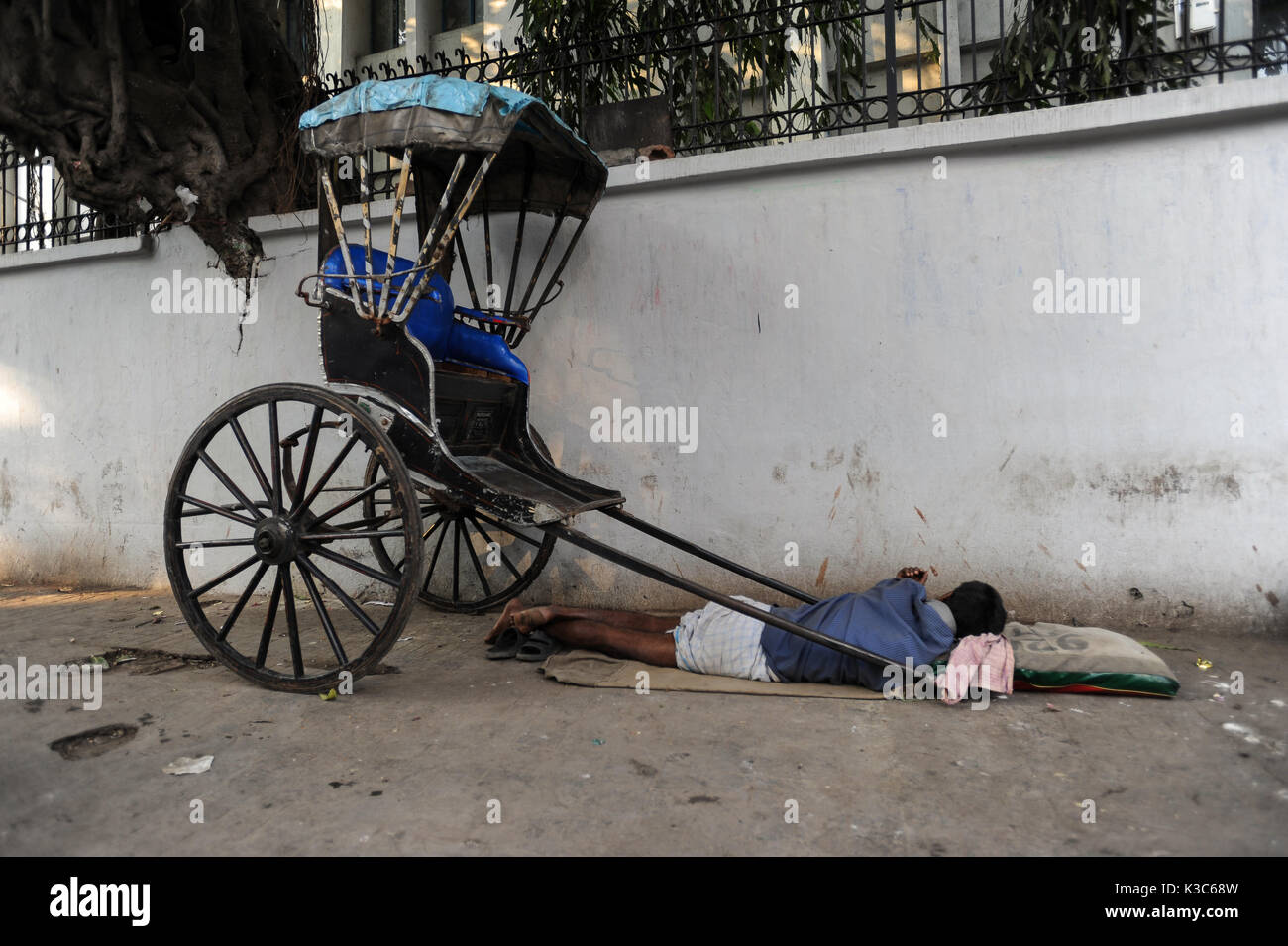 Indian cart puller hi-res stock photography and images - Alamy