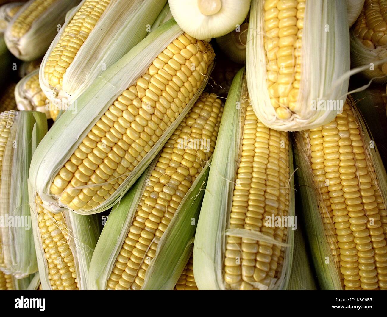 Photo of a bunch of fresh raw corn on a cob Stock Photo - Alamy