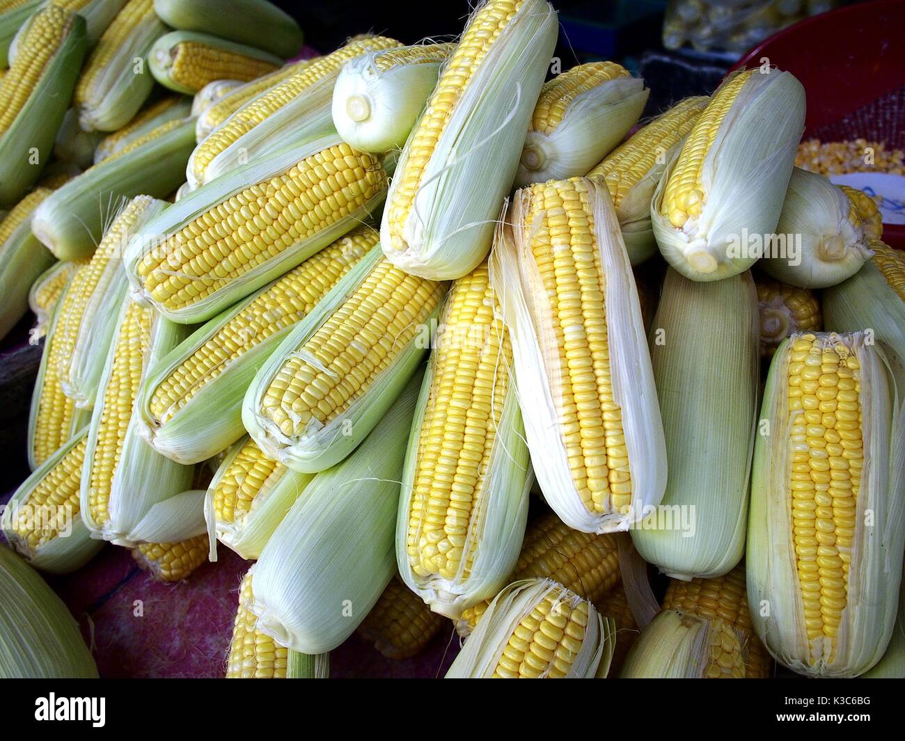 Photo of a bunch of fresh raw corn on a cob Stock Photo - Alamy