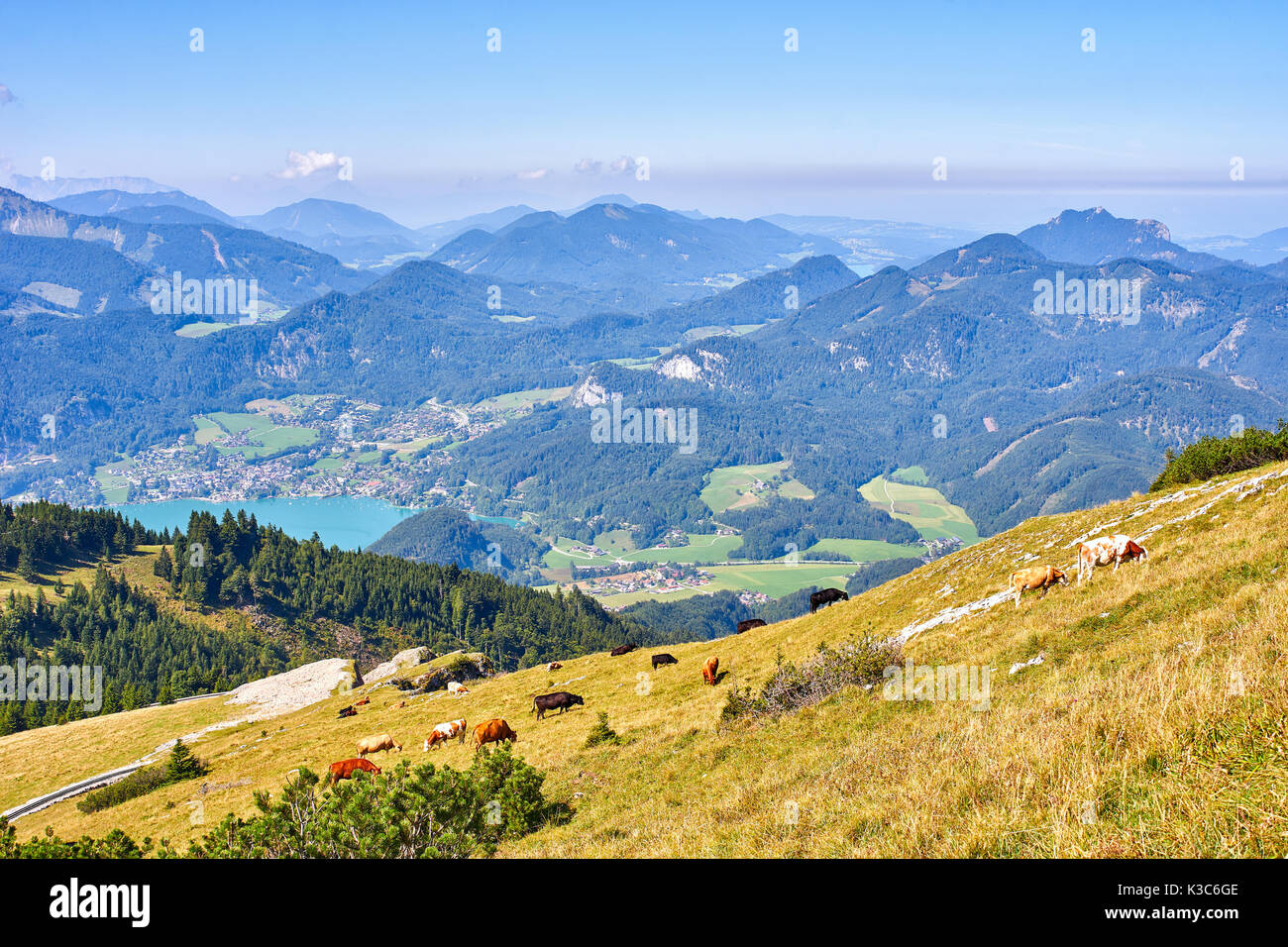 Austrian Alps landscape Stock Photo - Alamy