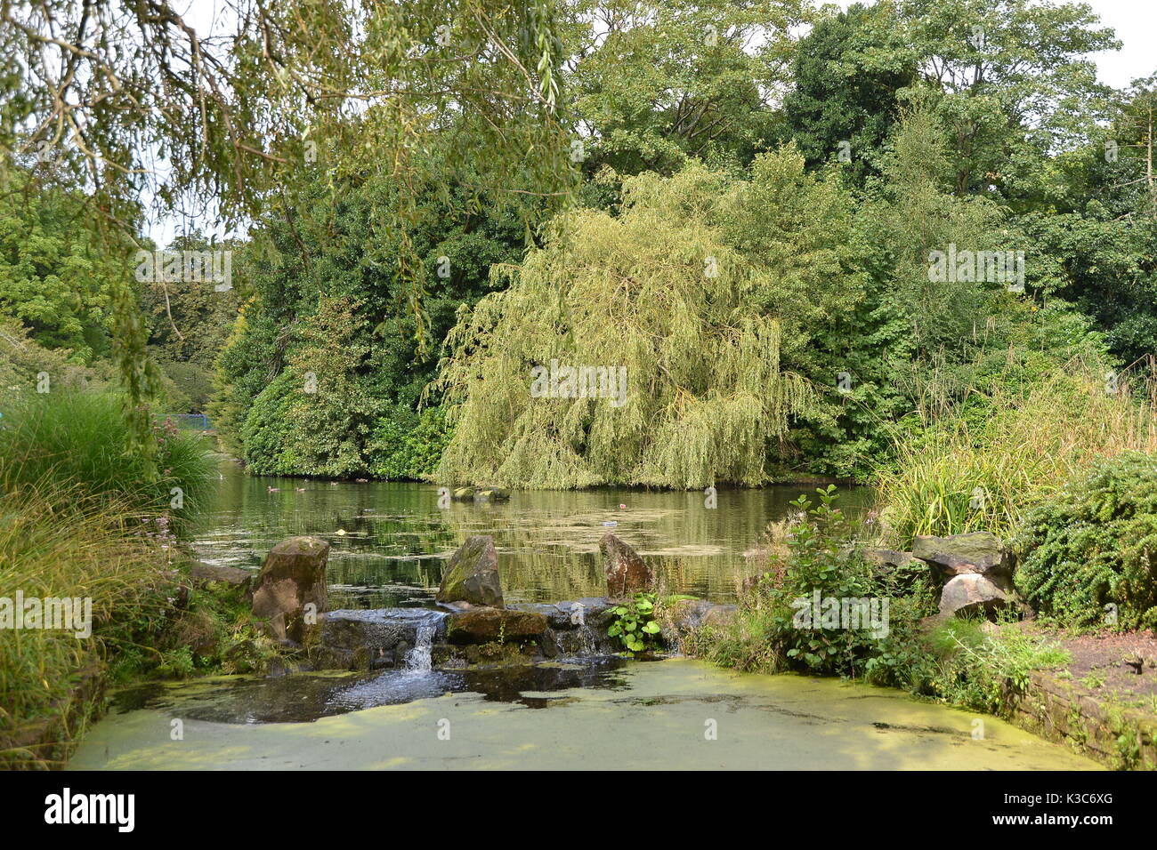 Sefton park photos hi-res stock photography and images - Alamy
