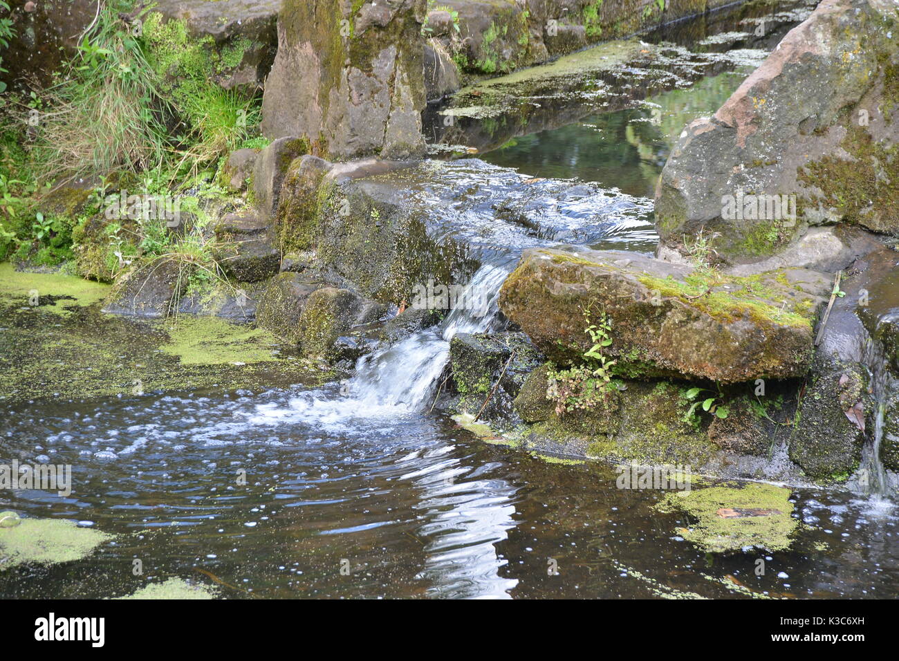Liverpool sefton park aigburth hi-res stock photography and images - Alamy