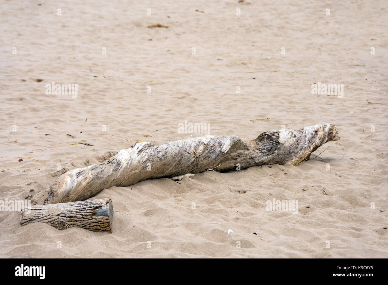 weathered driftwood log on beach sand with twisted design Stock Photo ...