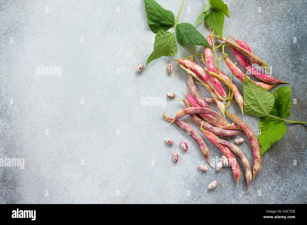 A pod of green beans and beans. Red beans on a gray slate or stone ...