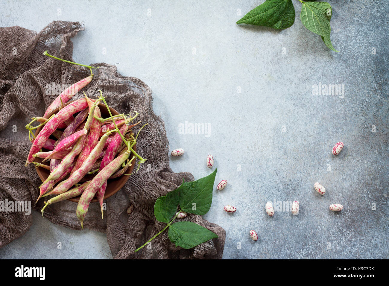 Green bean pod and beans. Red beans on a gray slate or stone background ...