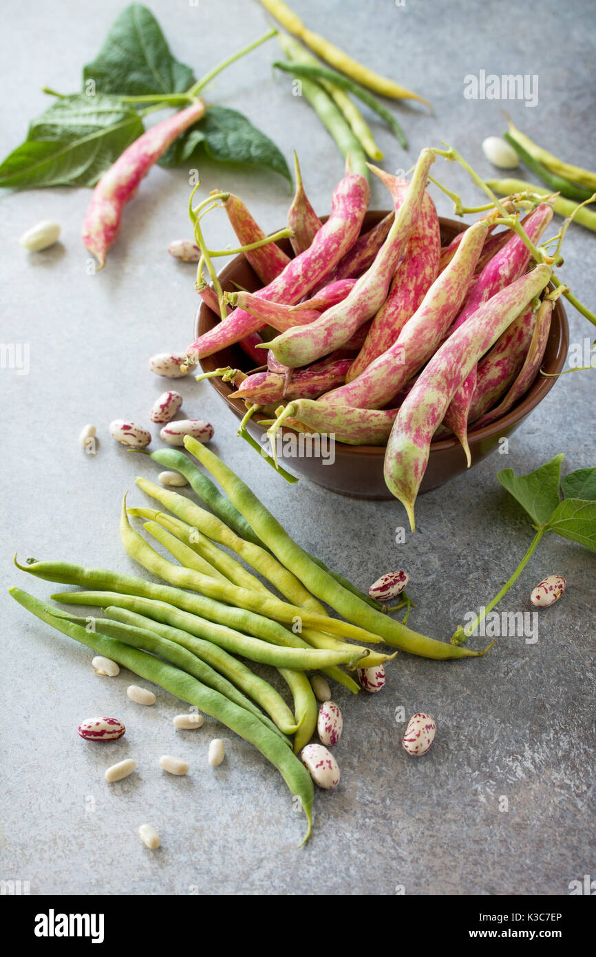 Assorted pod of beans and beans. Red and green beans on a gray slate or ...