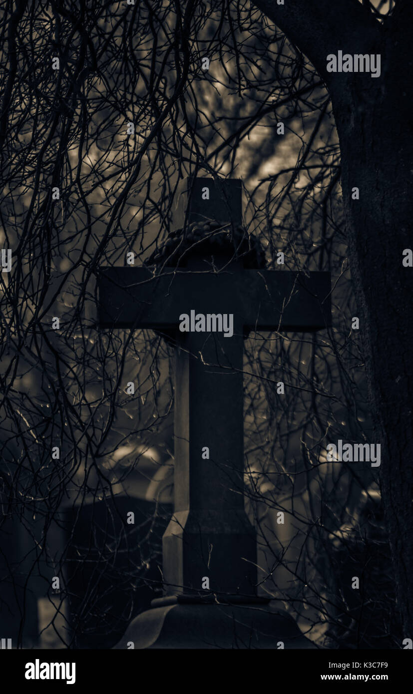 Headstone under a tree hi-res stock photography and images - Alamy