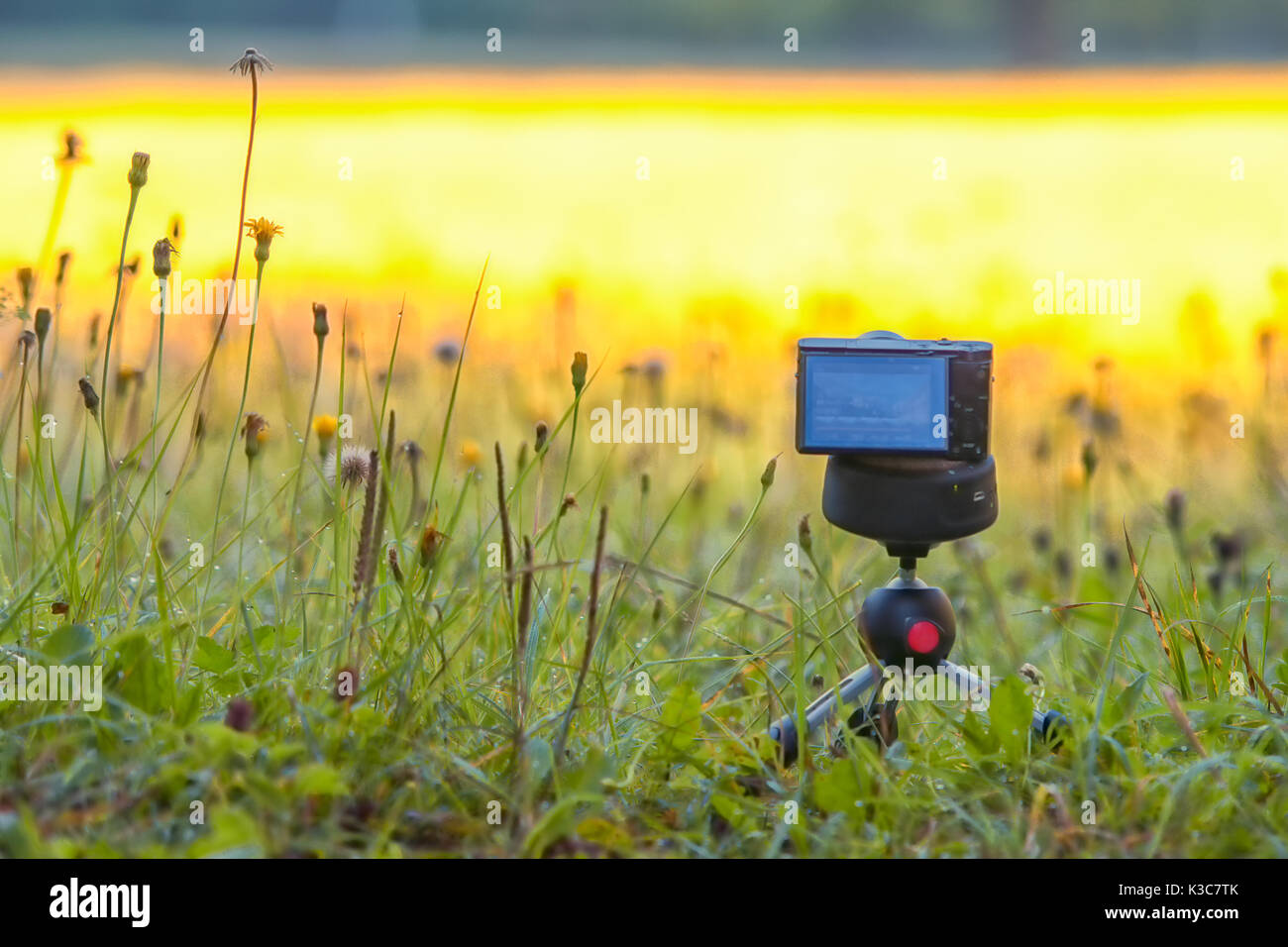 Compact field camera hi-res stock photography and images - Alamy