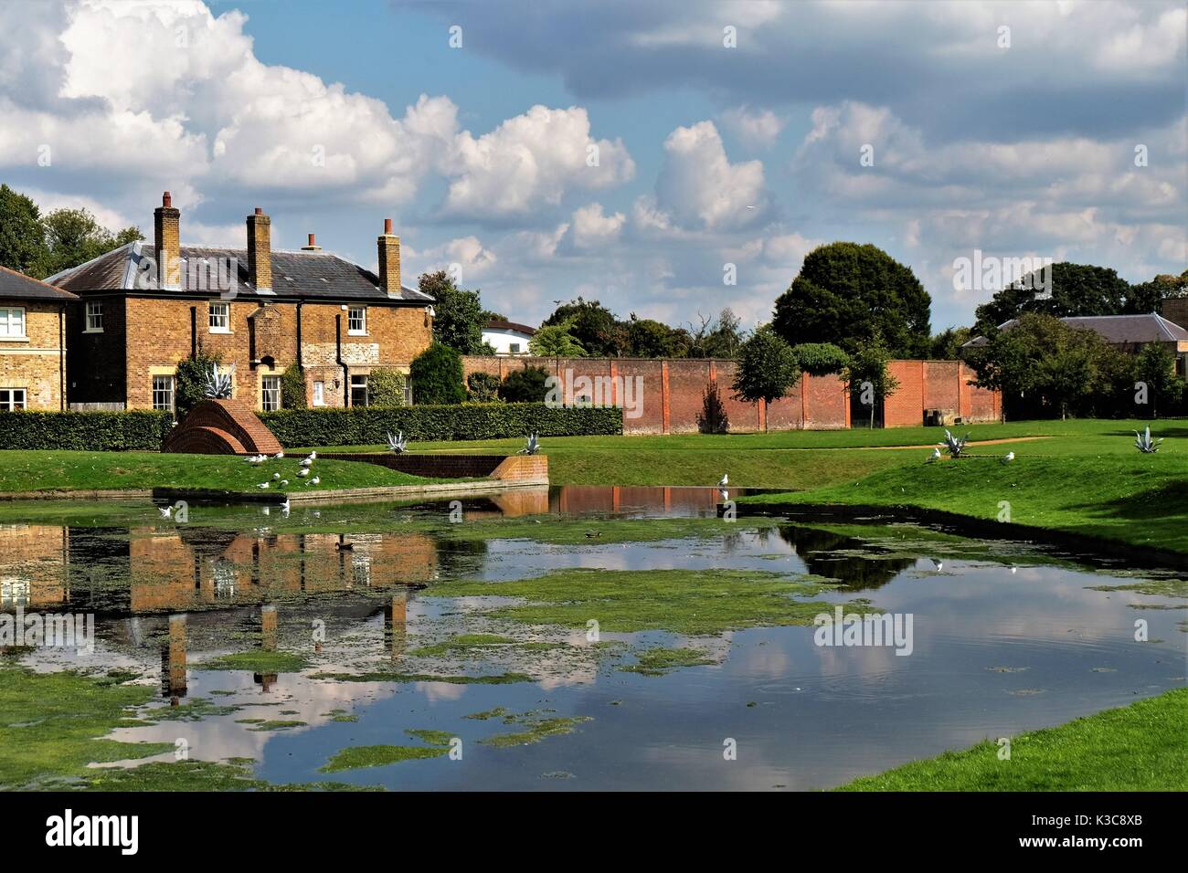 bushy park water garden Stock Photo - Alamy