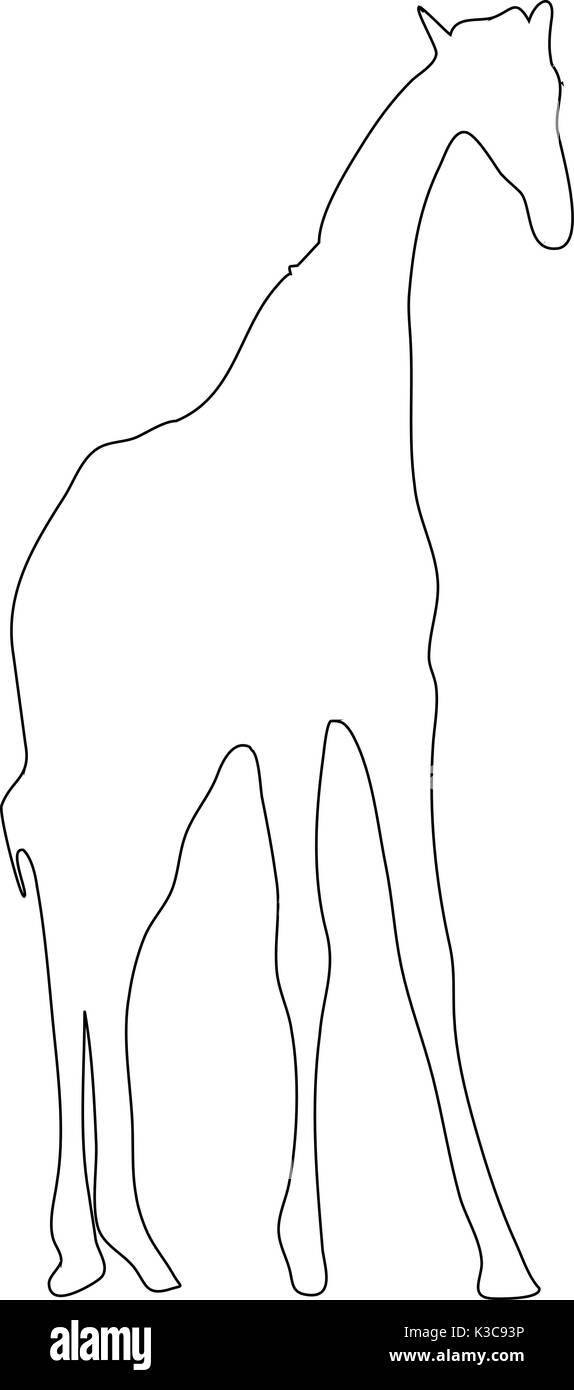 Giraffe Profile Outline