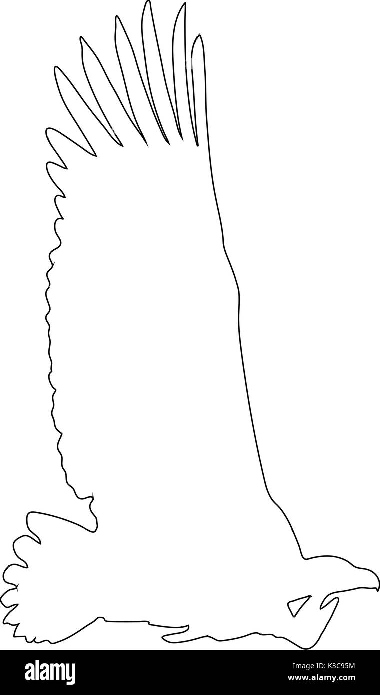 Vulture Stock Vector Images - Alamy