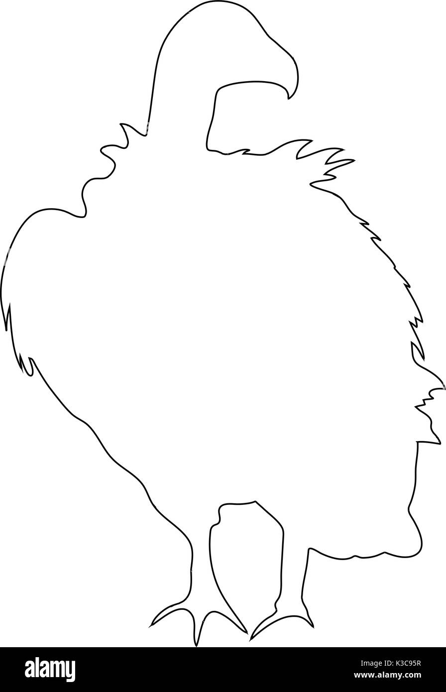 Botswana vulture Stock Vector Images - Alamy