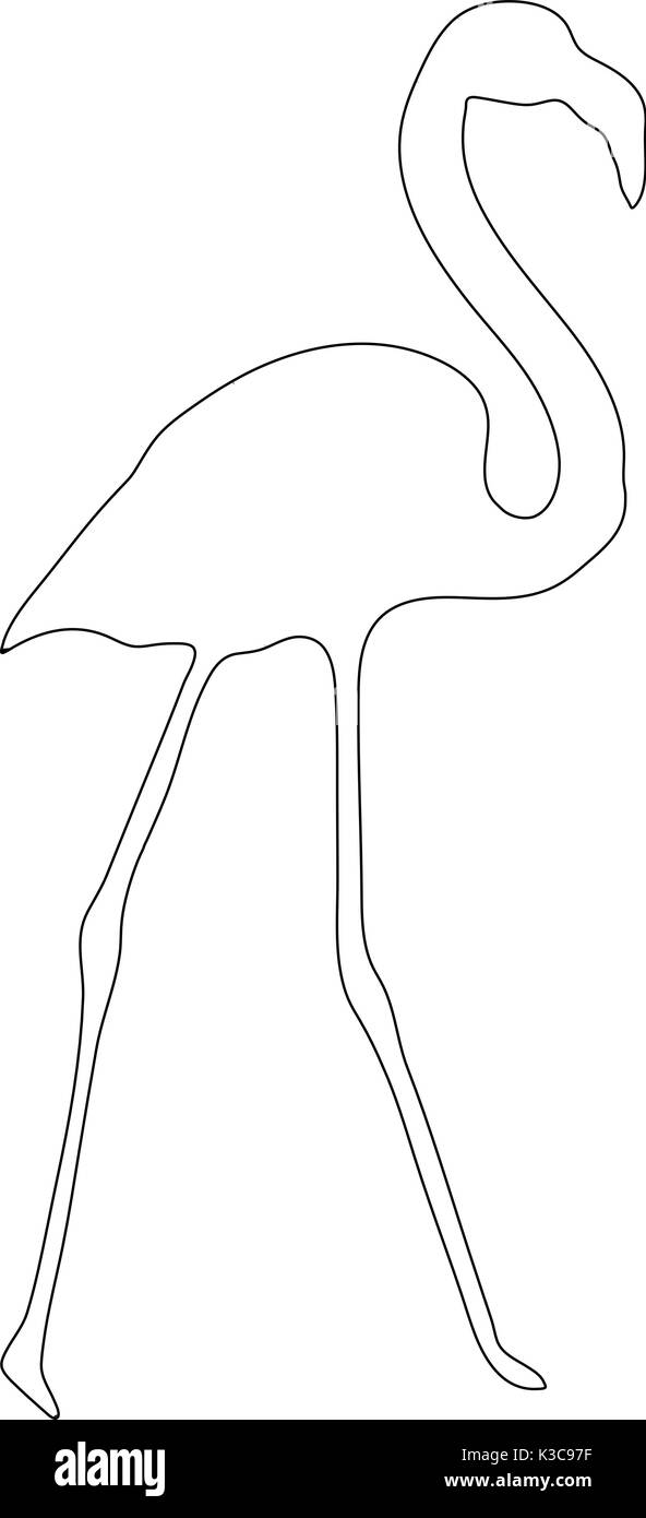 Flamingo Outline Drawings