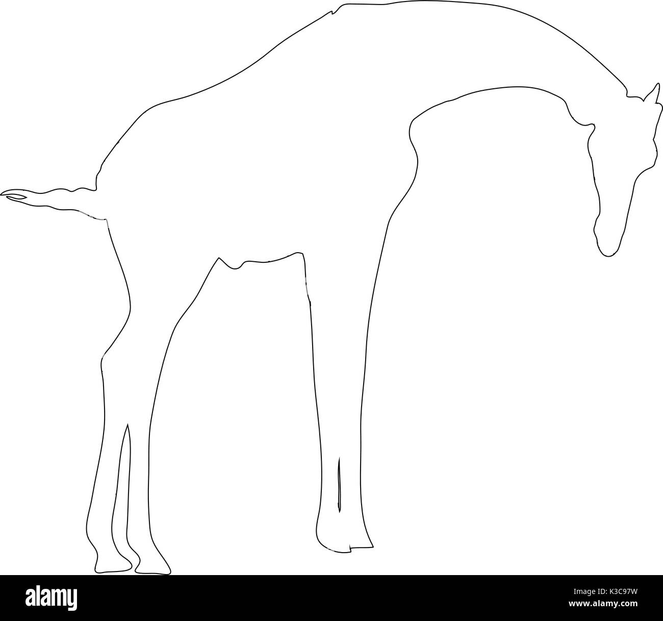 Giraffe Silhouette Outline High Resolution Stock Photography and Images ...