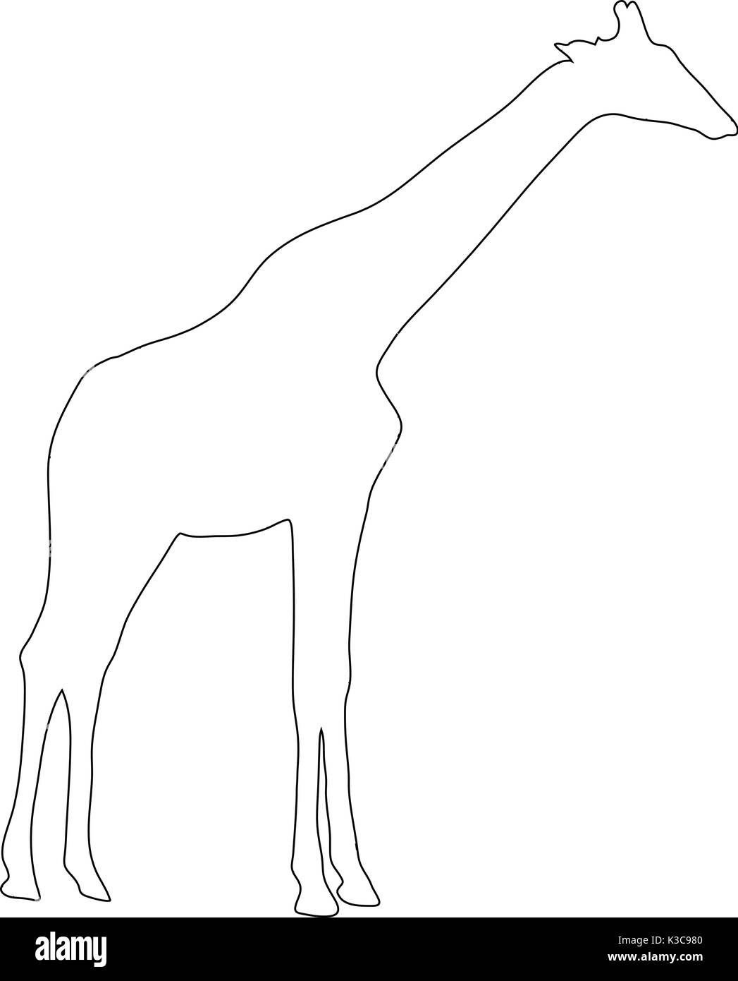 Baby Giraffe Silhouette Outline