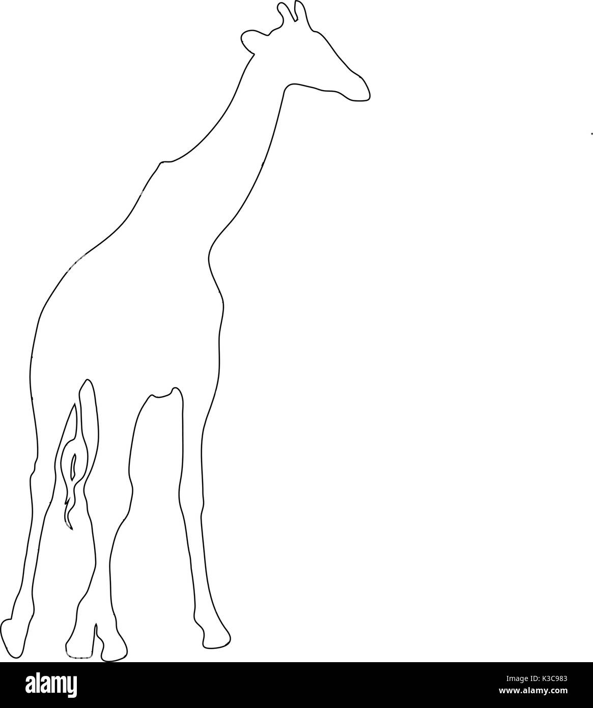 Giraffe silhouette outline hi-res stock photography and images - Alamy