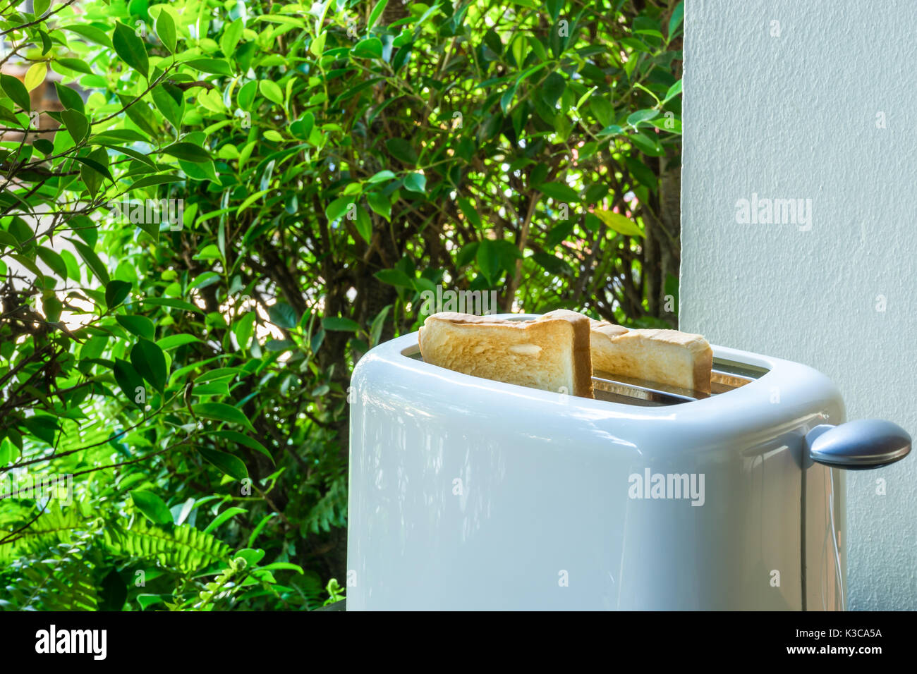 Ready cooked slice of braed in toaster to serve as breakfast Stock ...