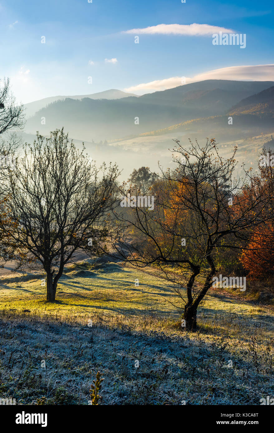 Countryside orchard autumn hi-res stock photography and images - Alamy