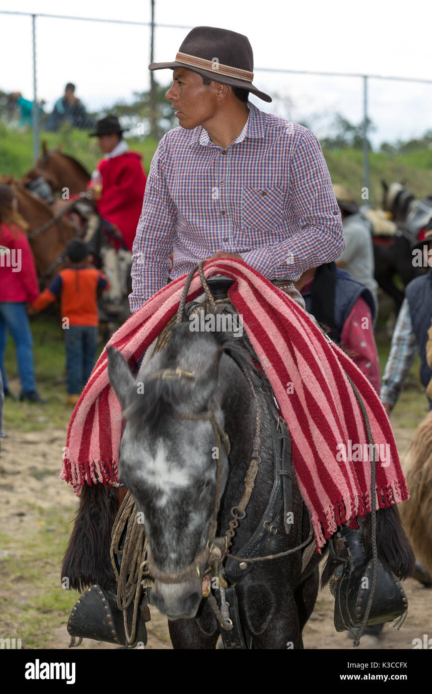 cowboy from the Andes on horseback with a traditional wool poncho ...