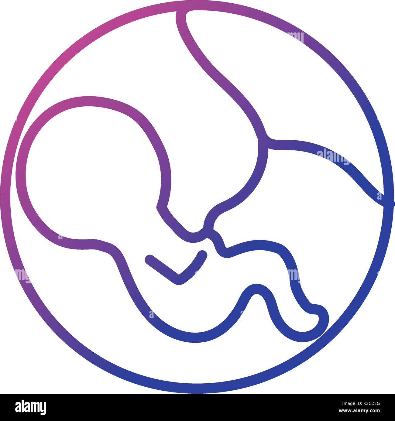 line baby with umbilical cord inside mothers uterus Stock Vector Image ...
